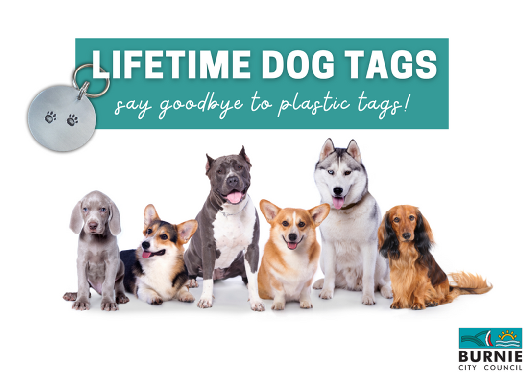 Lifetime Dog Tags Burnie City Council